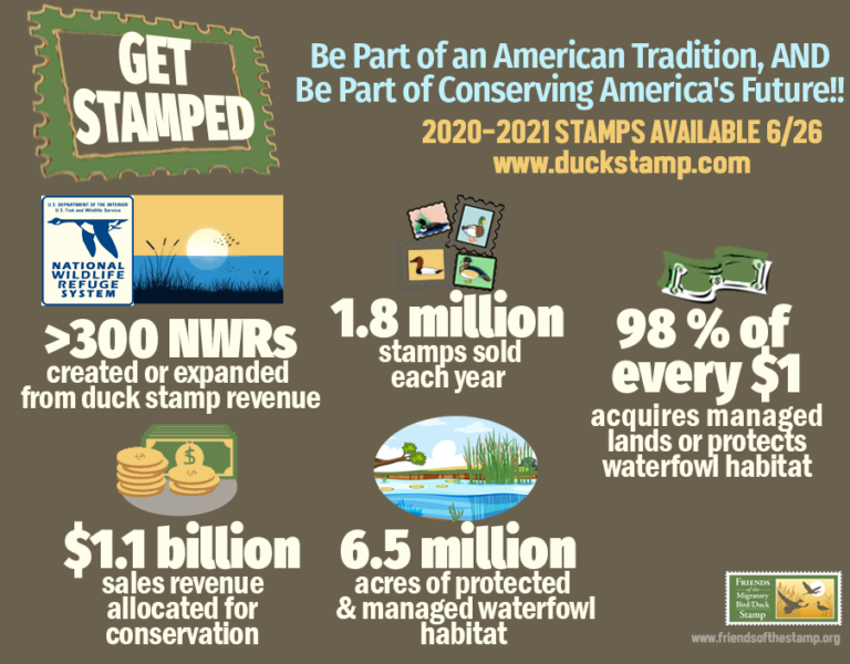 Duck Stamps Conserve Wildlife Habitat | Friends of the Migratory Bird ...